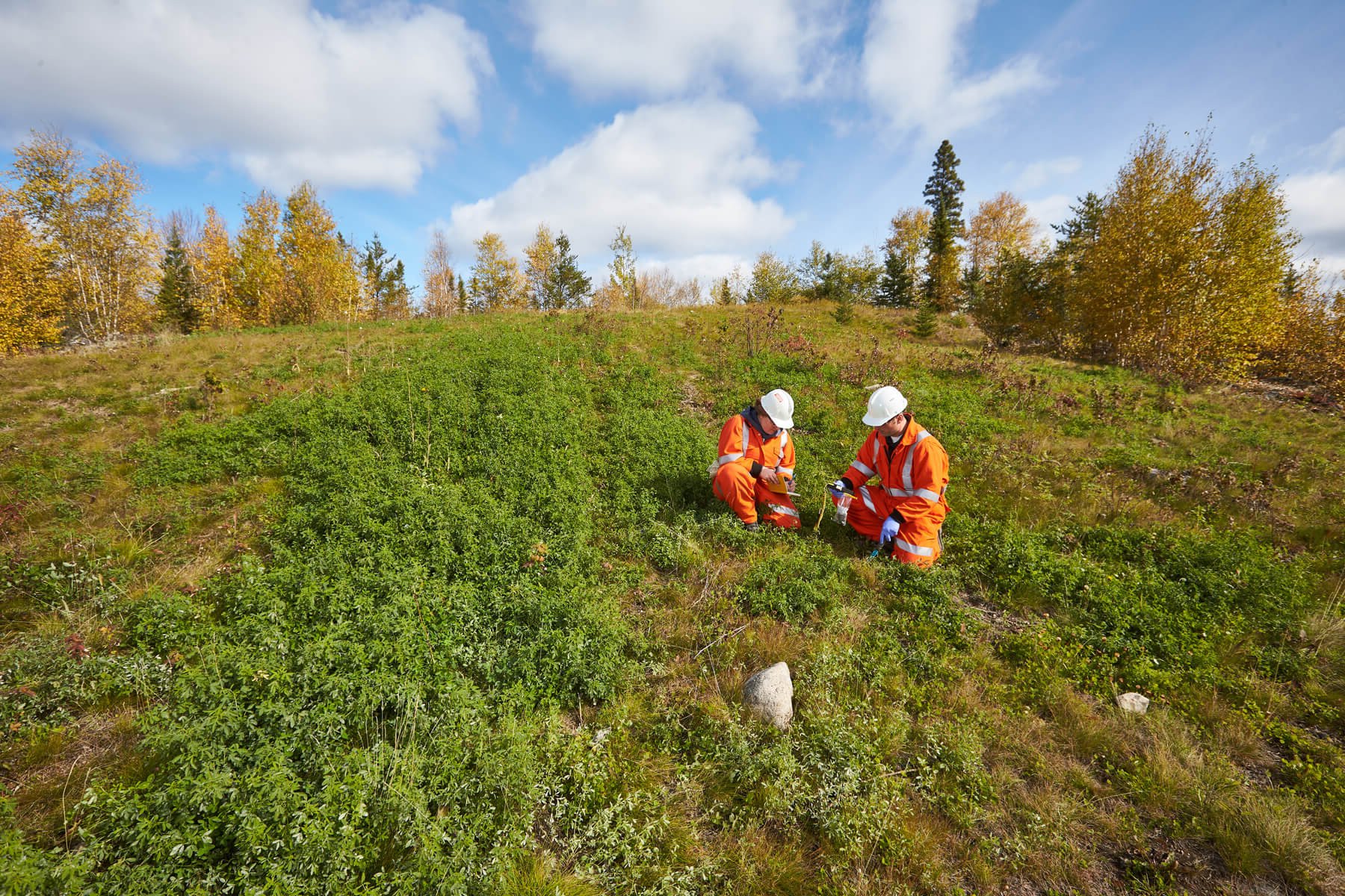 Career Development - MiHR | Mining Industry Human Resources Council